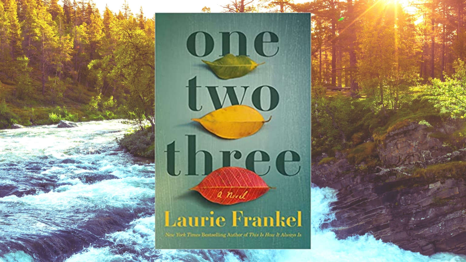 Book Review - "One Two Three" by Laurie Frankel