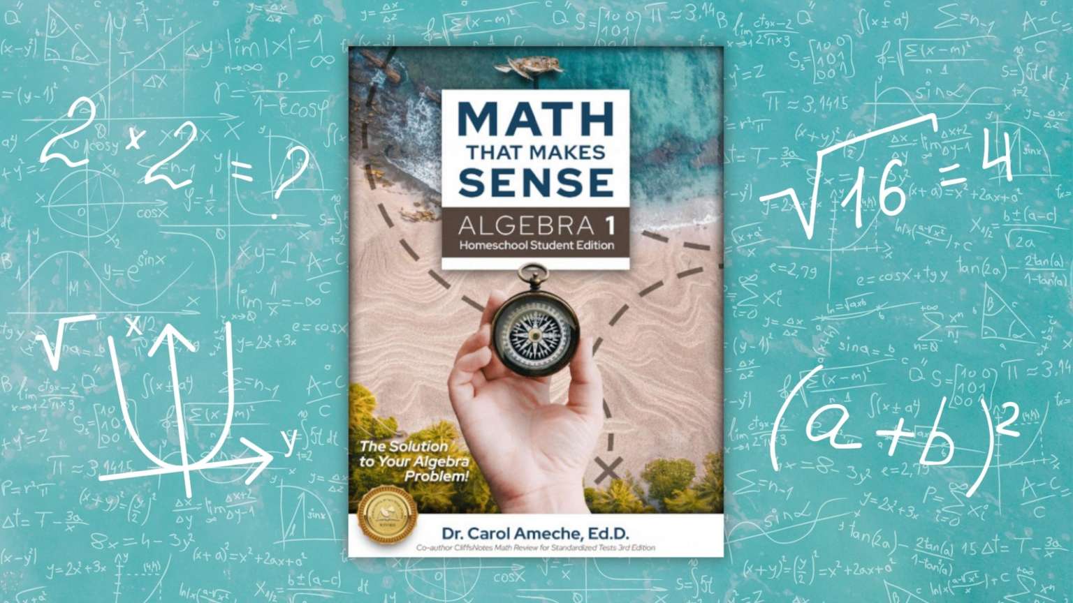 An Award-Winning Guide to Teaching “Math That Makes Sense” in Home ...
