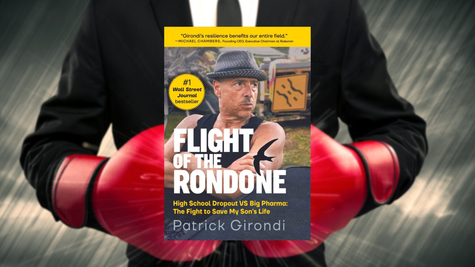 Flight of the Rondone by Patrick Giron | BookTrib.