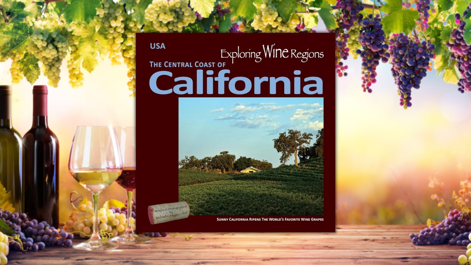 Delightful and Insightful Travel Guide to the World of California Wine ...