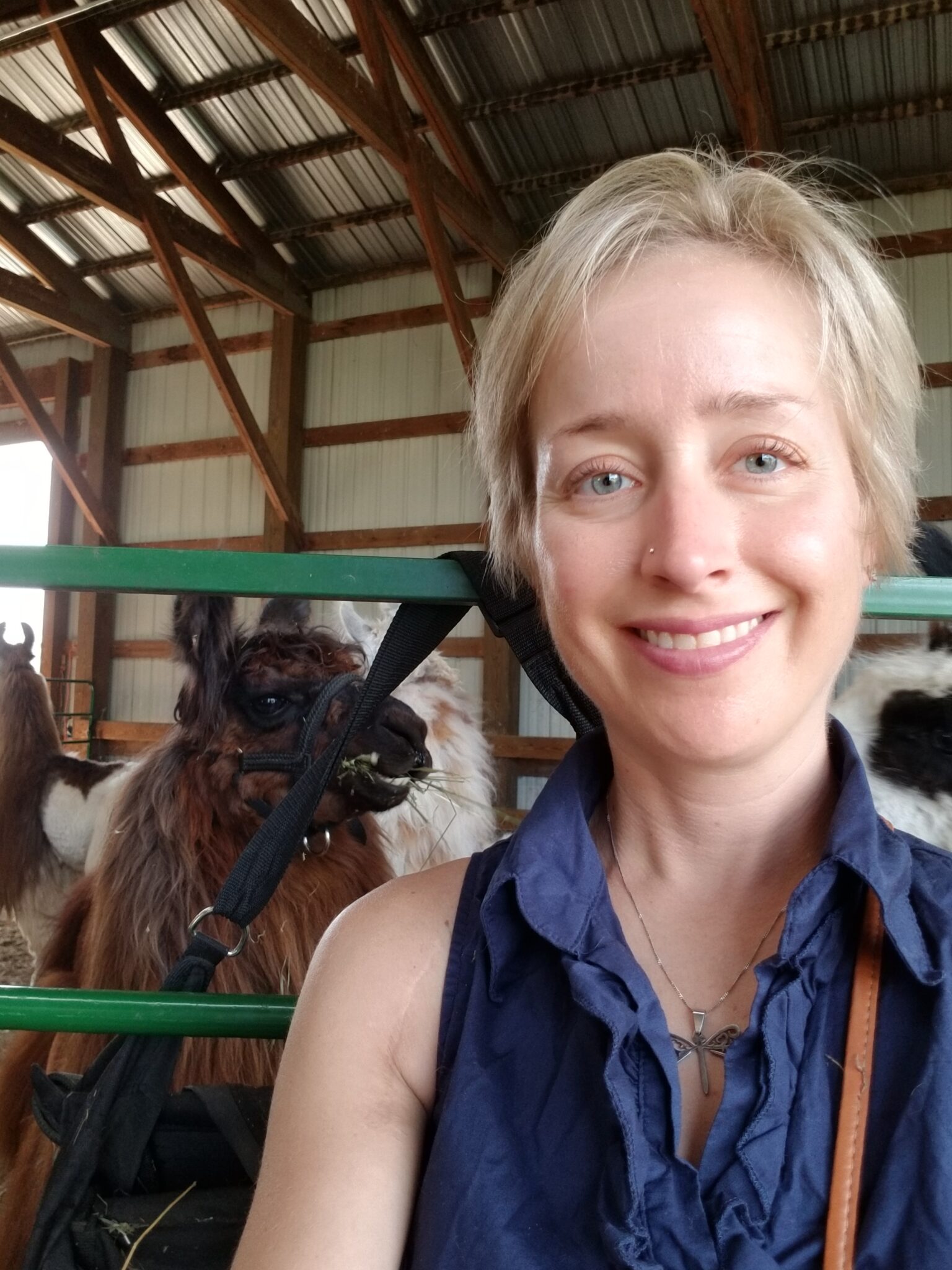 Progress not Perfection by Alison Ashby | BookTrib.